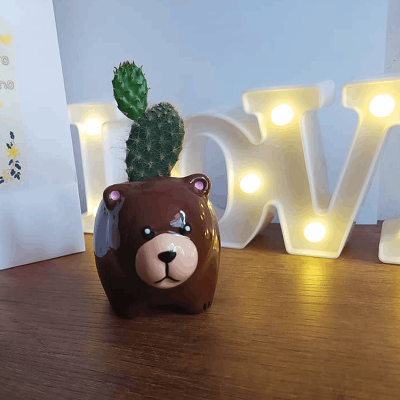 Figulino – Plataforma Centro